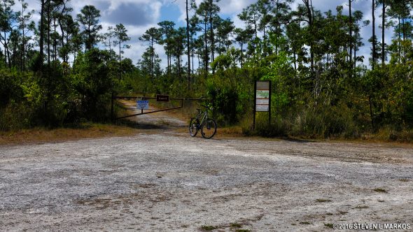 Everglades National Park | LONG PINE KEY NATURE TRAIL