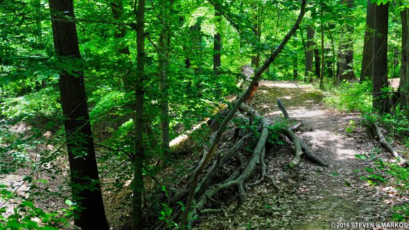 Civil War Defenses of Washington | FORT DERUSSY