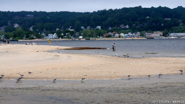 Gateway National Recreation Area | FISHING AT SANDY HOOK