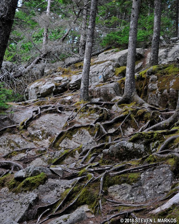 Acadia National Park | PERPENDICULAR TRAIL LOOP HIKE | Bringing you ...