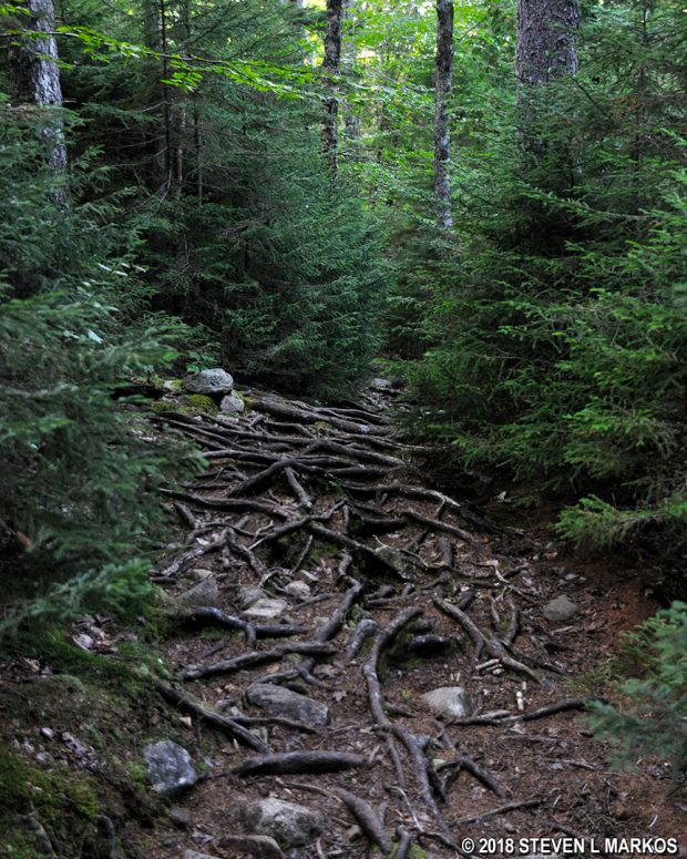 Acadia National Park | PERPENDICULAR TRAIL LOOP HIKE | Bringing you ...