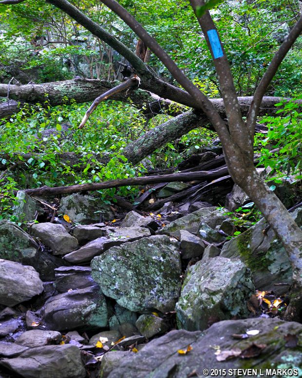 Blue Ridge Parkway | HUMPBACK ROCKS LOOP TRAIL (MP 6) | Bringing you ...