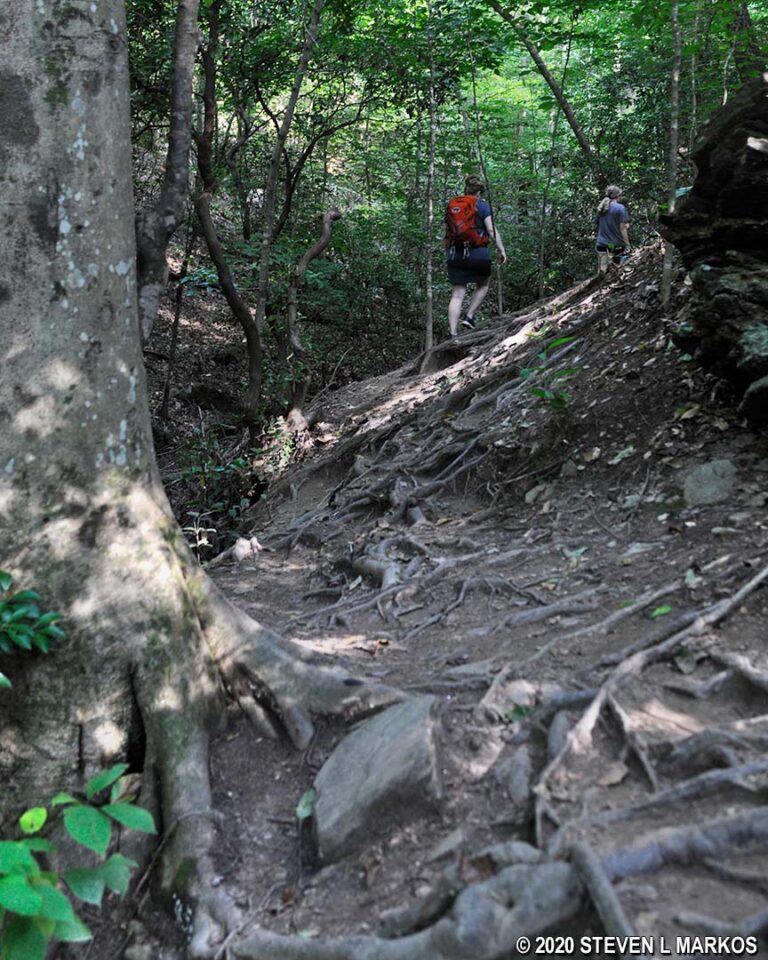Chattahoochee River National Recreation Area | EAST PALISADES LOOP HIKE