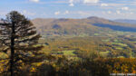 Blue Ridge Parkway | PINE TREE OVERLOOK (MP 95.2)