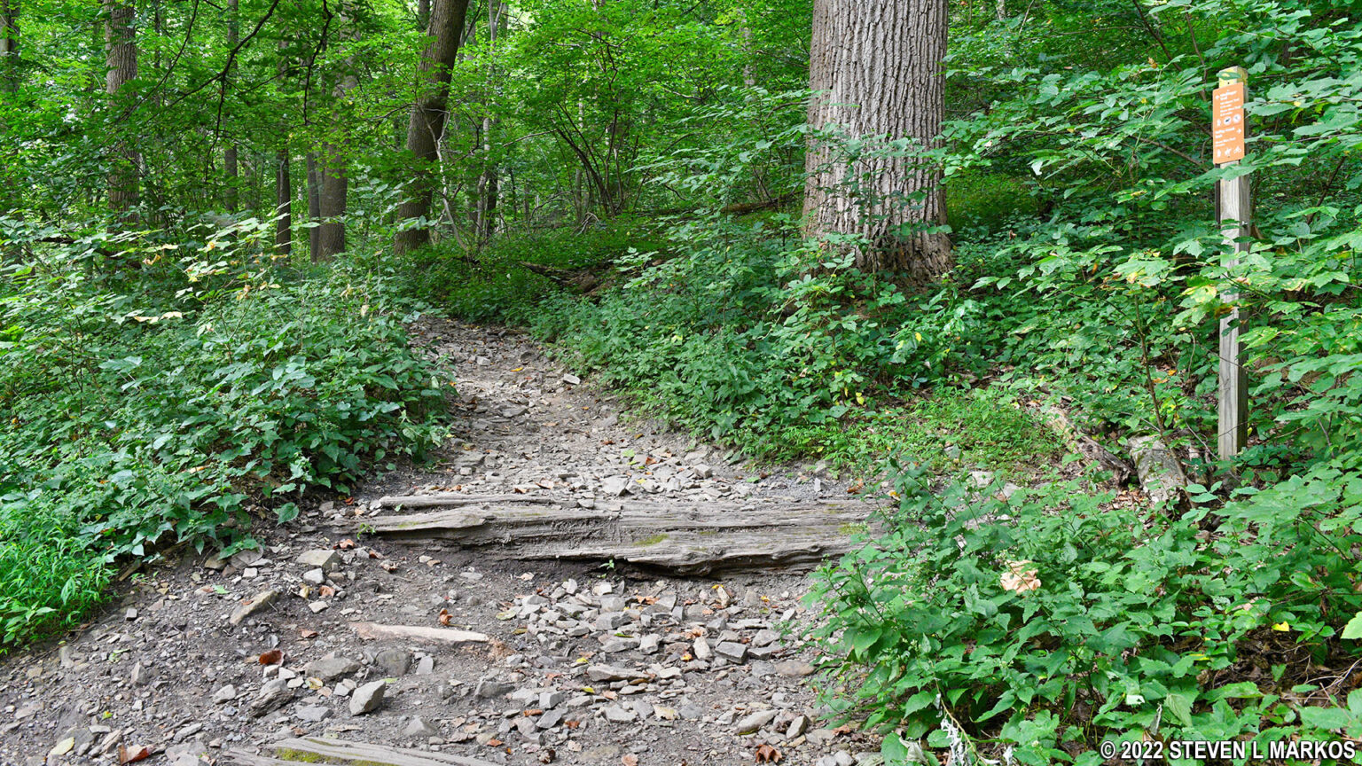 Valley Forge National Historical Park | VALLEY CREEK TRAIL