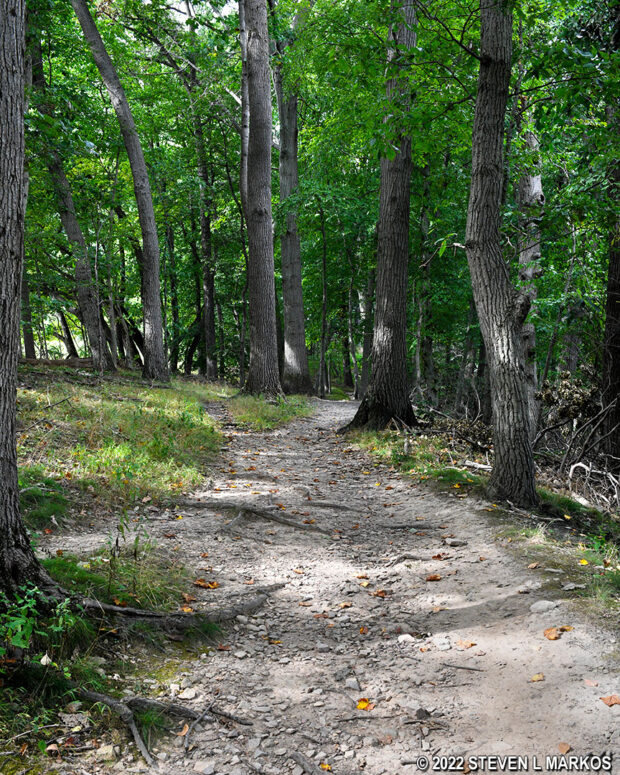 Valley Forge National Historical Park | CHAPEL TRAIL