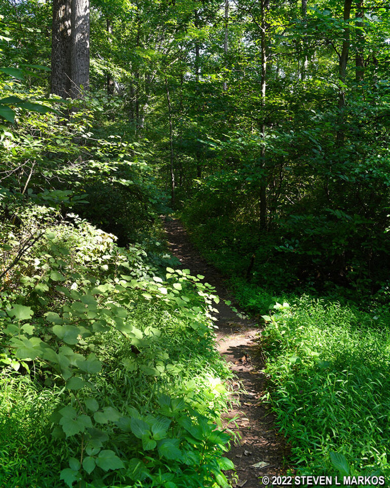 Gettysburg National Military Park | BRIDLE TRAIL LOOP HIKE