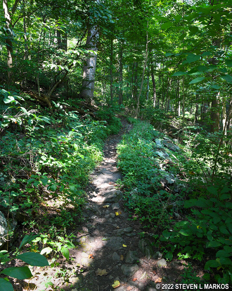Catoctin Mountain Park | YELLOW TRAIL LOOP HIKE