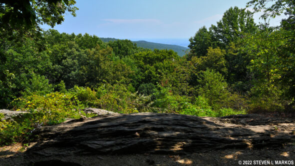 Catoctin Mountain Park | YELLOW TRAIL LOOP HIKE