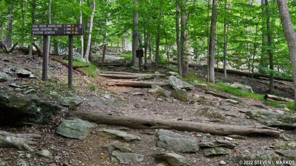 Catoctin Mountain Park | YELLOW TRAIL LOOP HIKE