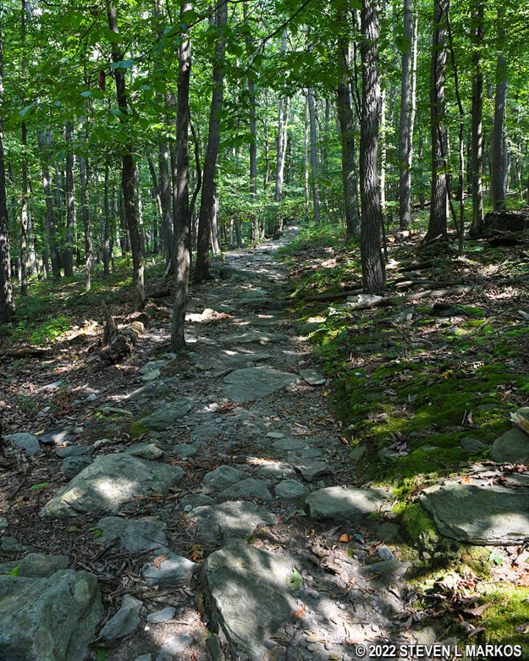 Catoctin Mountain Park | THURMONT VISTA LOOP HIKE | Bringing your ...