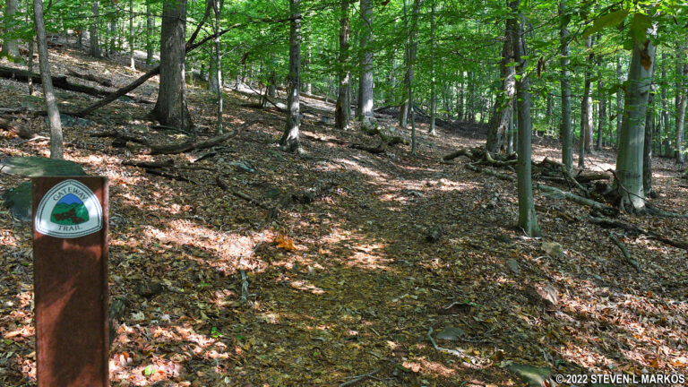Catoctin Mountain Park | GATEWAY TRAIL LOOP HIKE