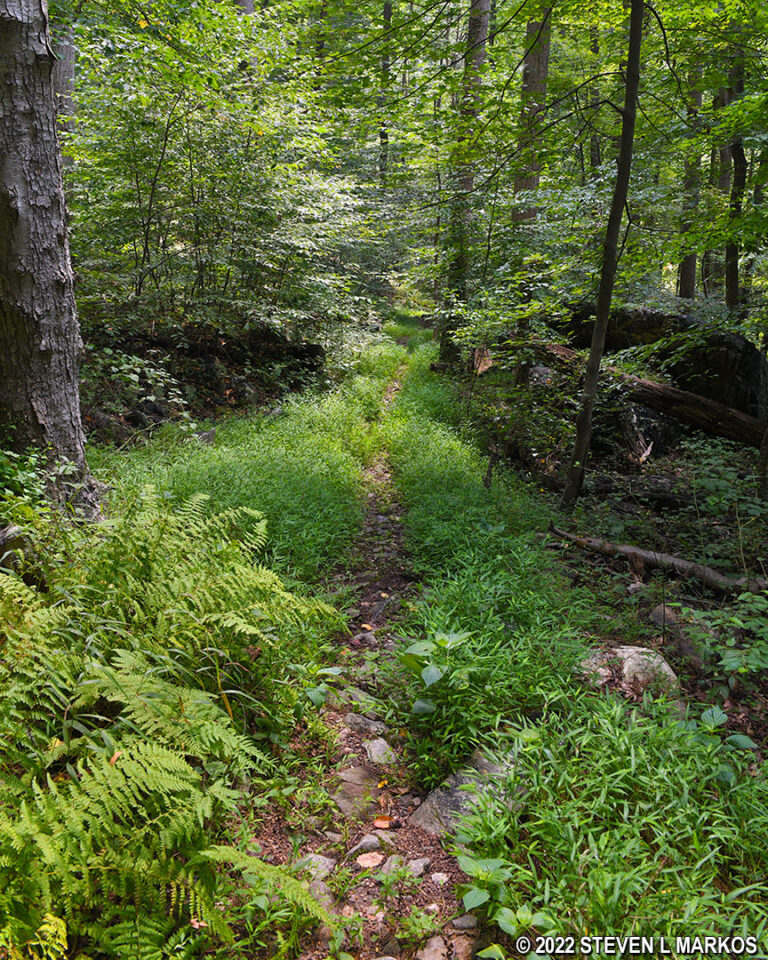 Catoctin Mountain Park | GATEWAY TRAIL LOOP HIKE