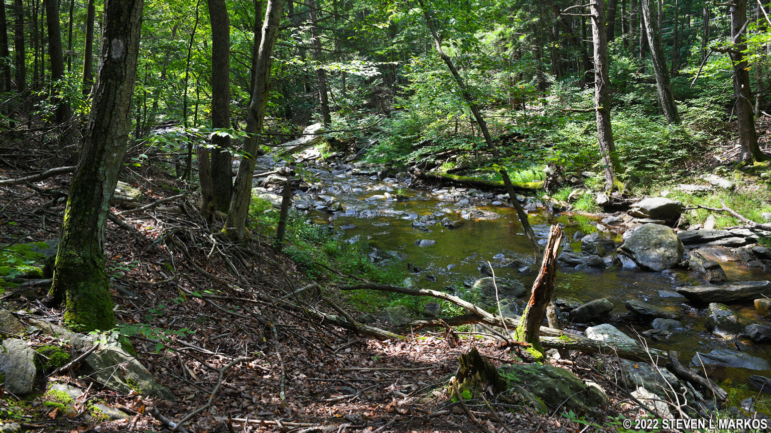 Catoctin Mountain Park | GATEWAY TRAIL LOOP HIKE