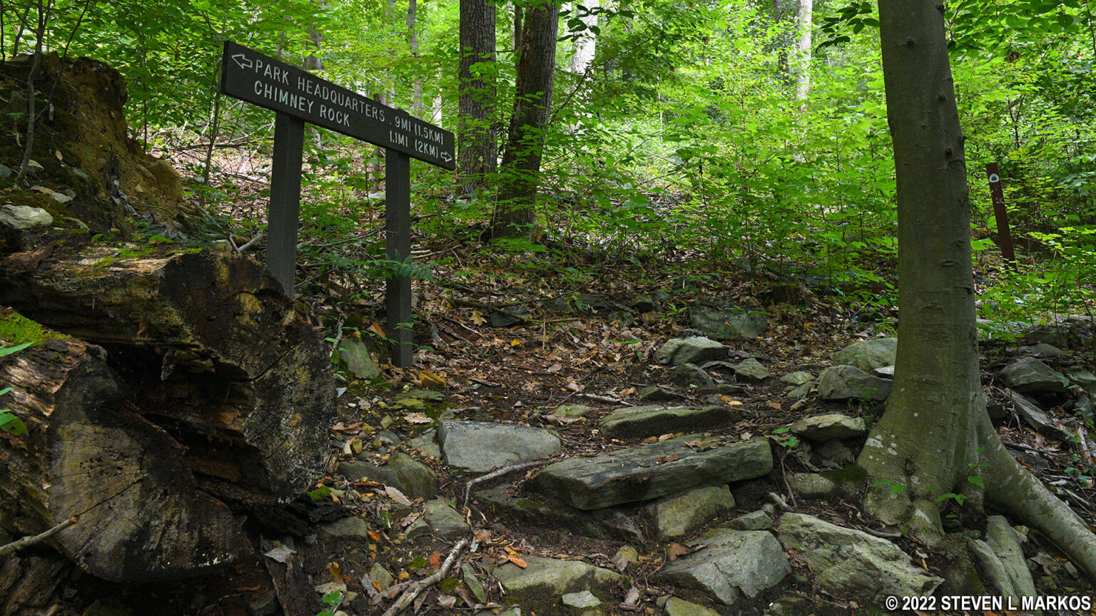 Catoctin Mountain Park | GATEWAY TRAIL LOOP HIKE