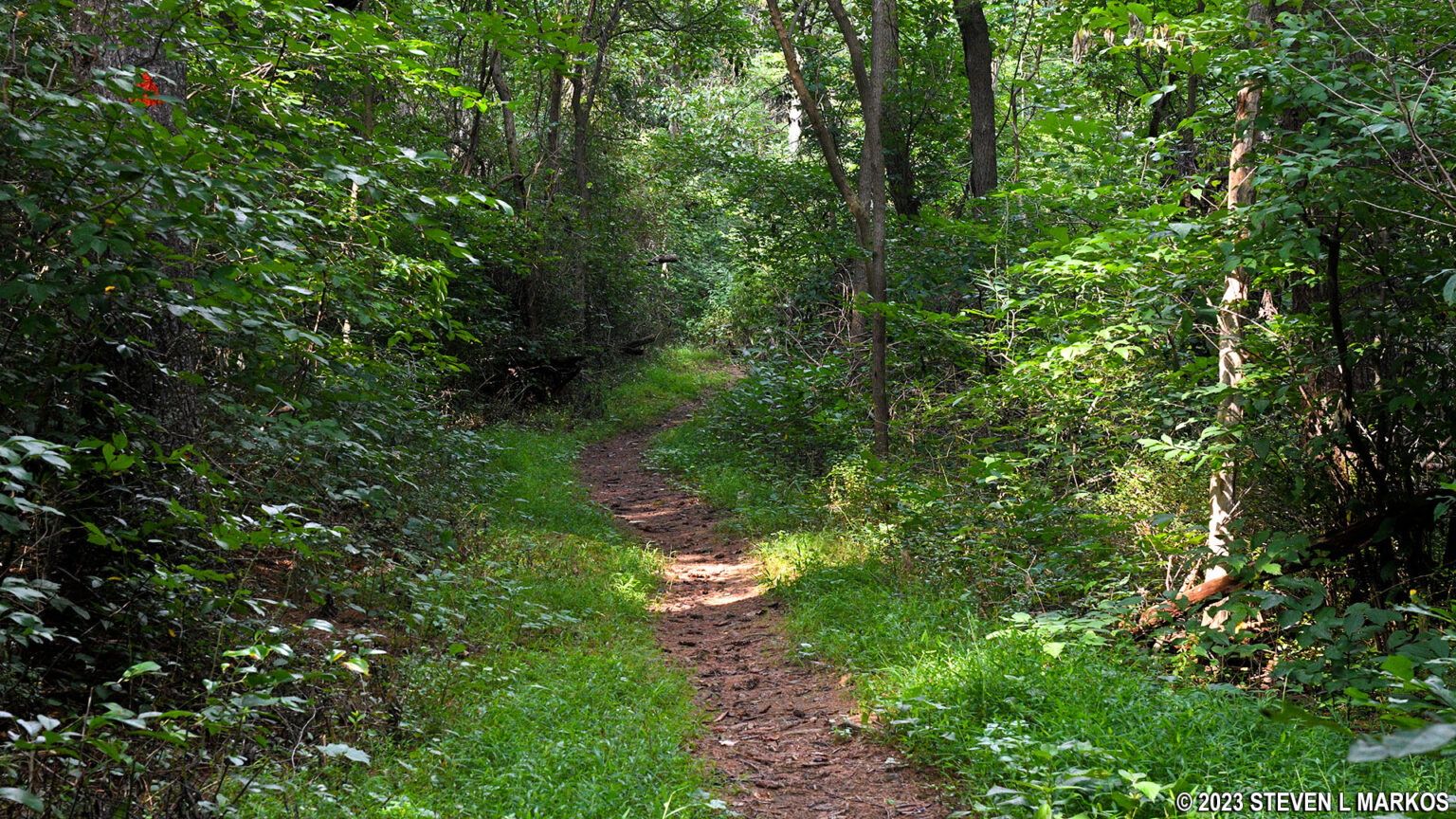 Catoctin Mountain Park | ORANGE TRAIL NORTH LOOP HIKE