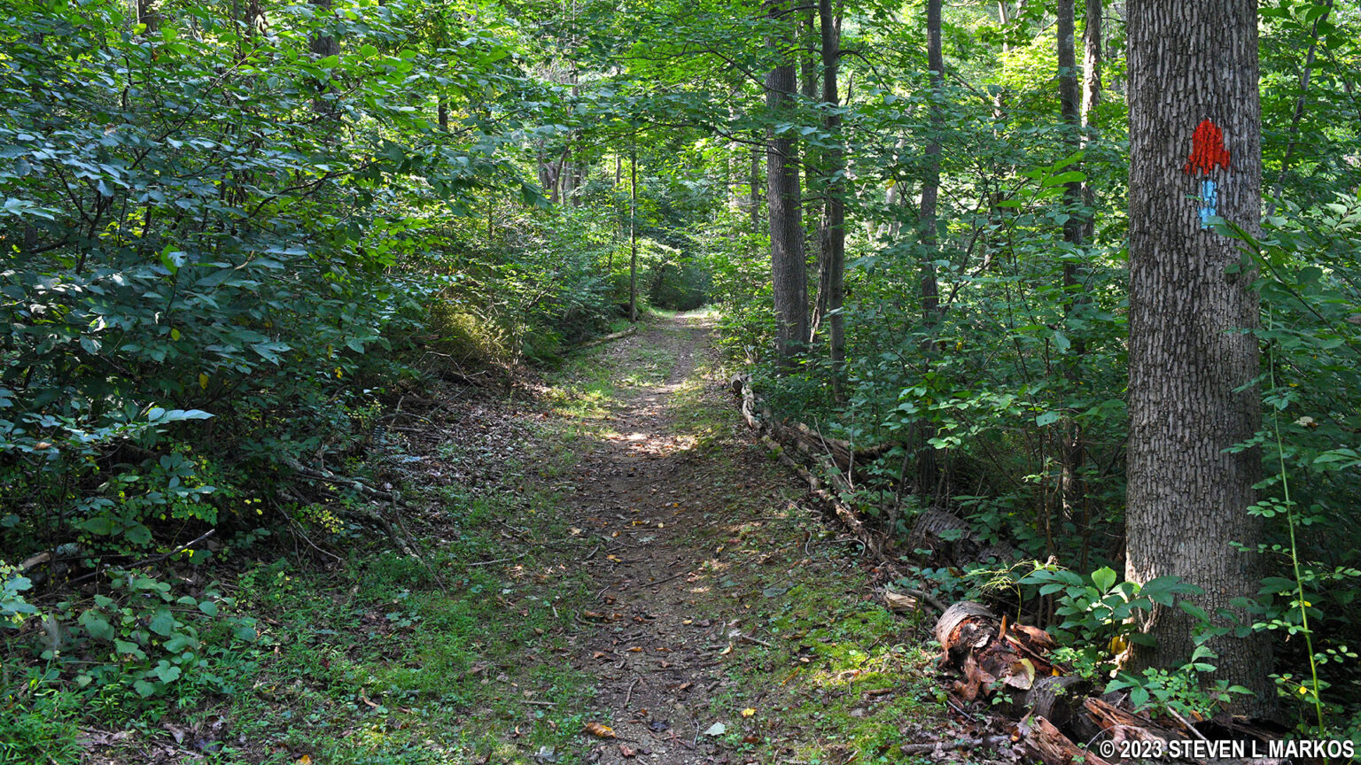Catoctin Mountain Park | ORANGE TRAIL NORTH LOOP HIKE