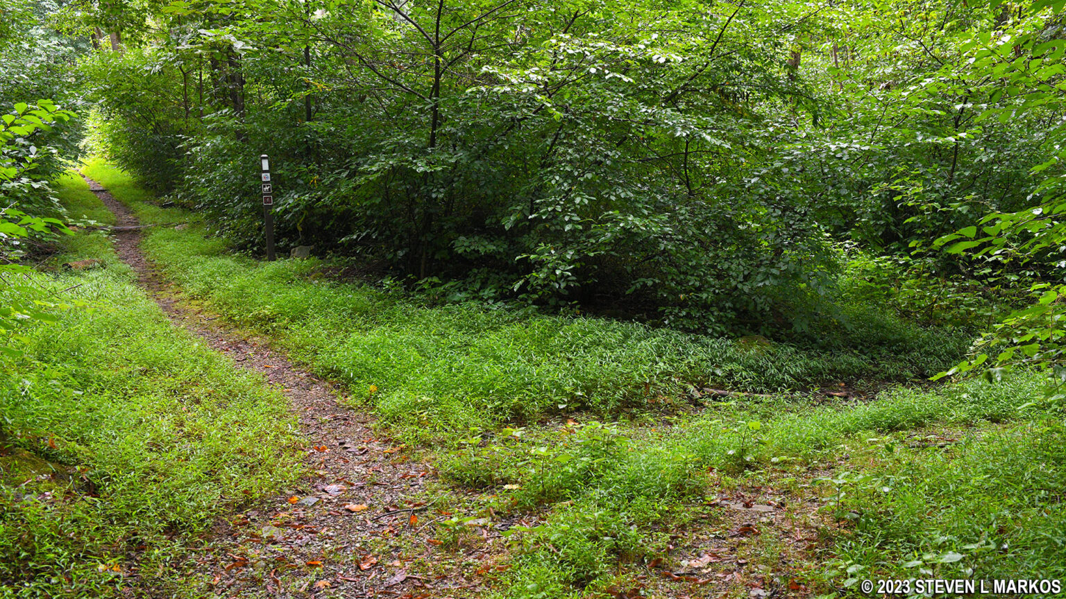 Catoctin Mountain Park | ORANGE TRAIL SOUTH LOOP HIKE