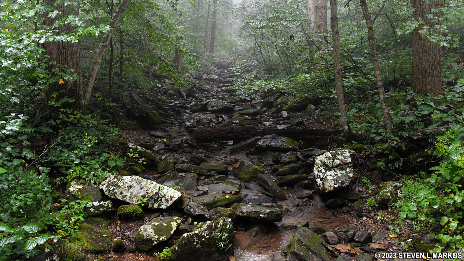 Catoctin Mountain Park | ORANGE TRAIL SOUTH LOOP HIKE | Bringing your ...