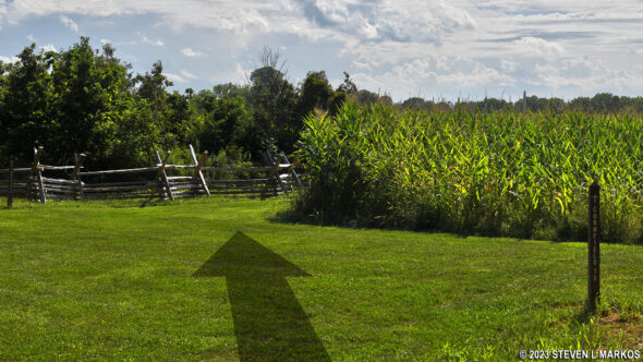 Antietam National Battlefield | CORNFIELD TRAIL