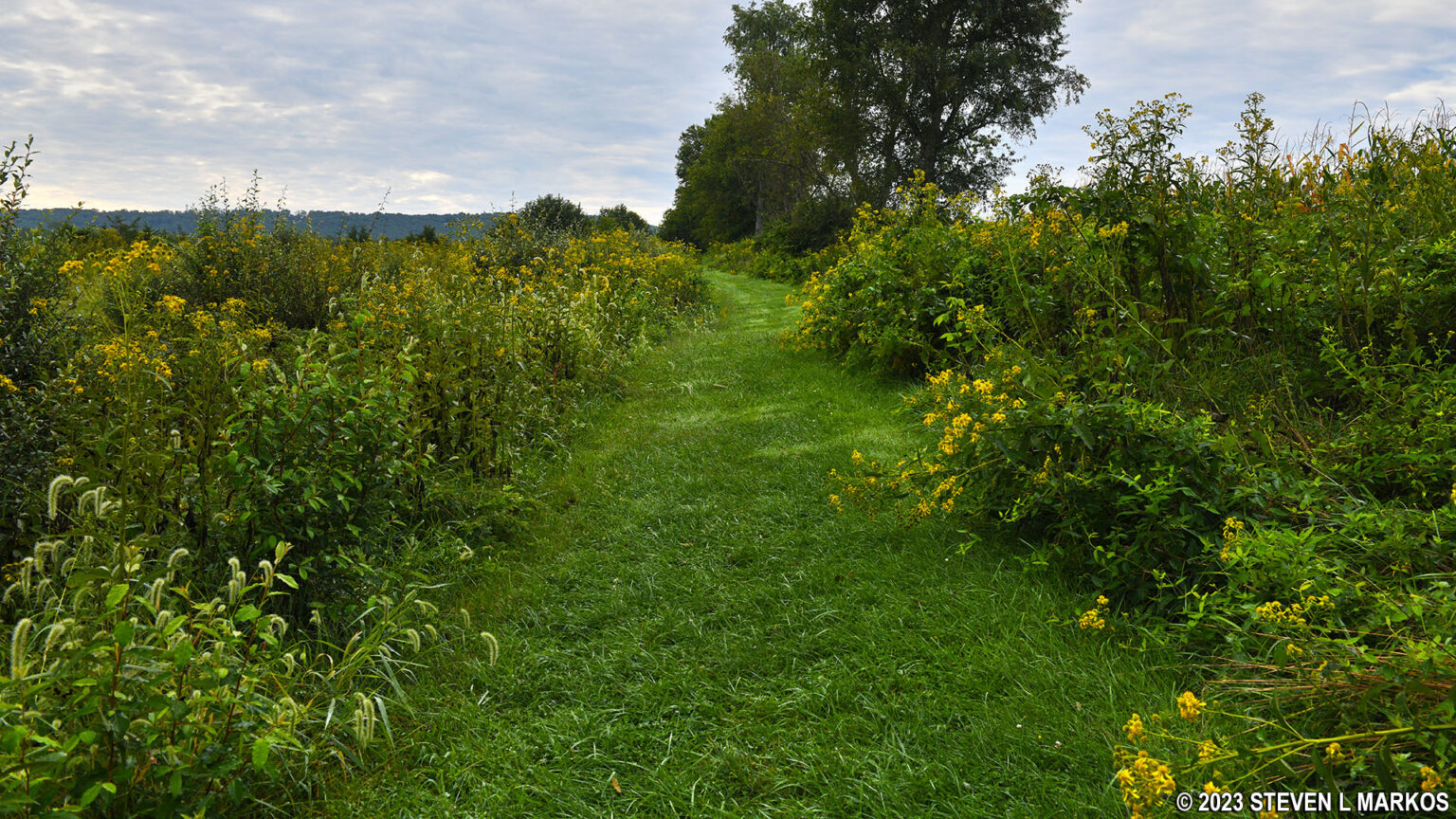 Antietam National Battlefield | SHERRICK FARM TRAIL | Bringing you ...