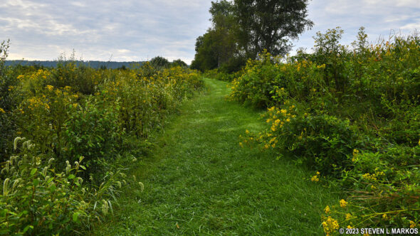 Antietam National Battlefield | SHERRICK FARM TRAIL | Bringing you ...