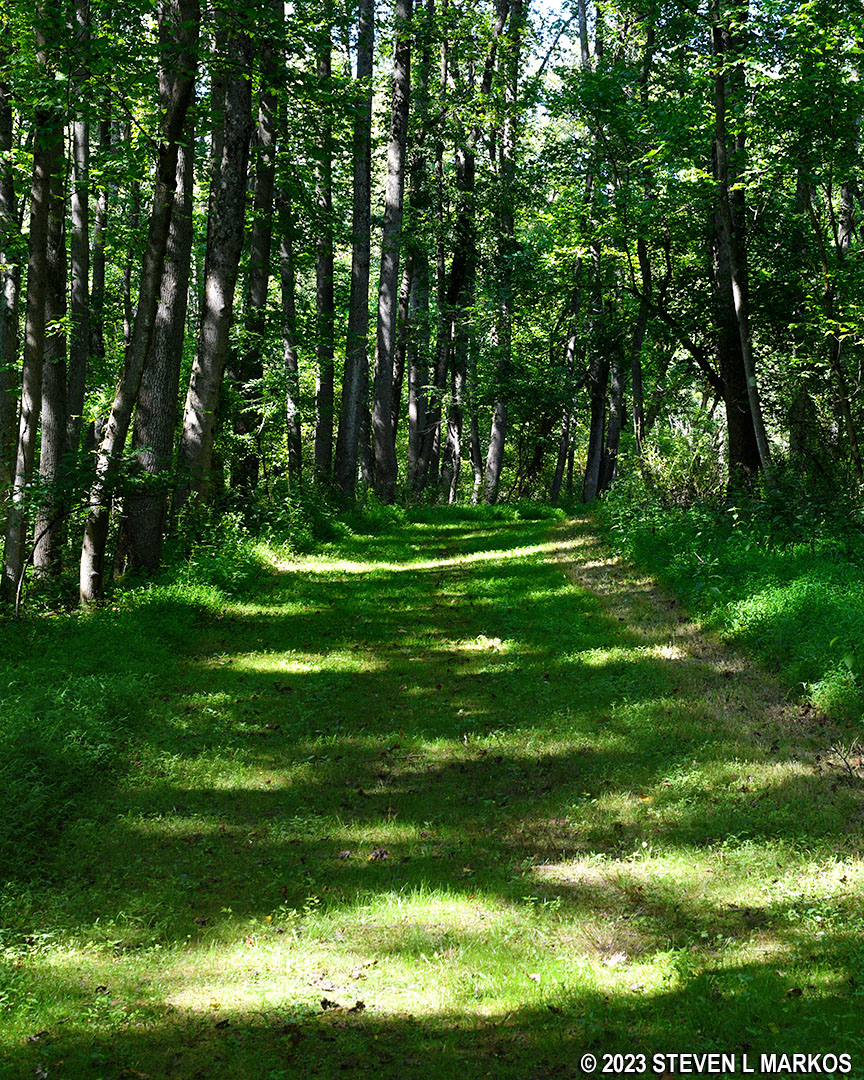 Friendship Hill National Historic Site | NORTH MEADOW LOOP TRAIL