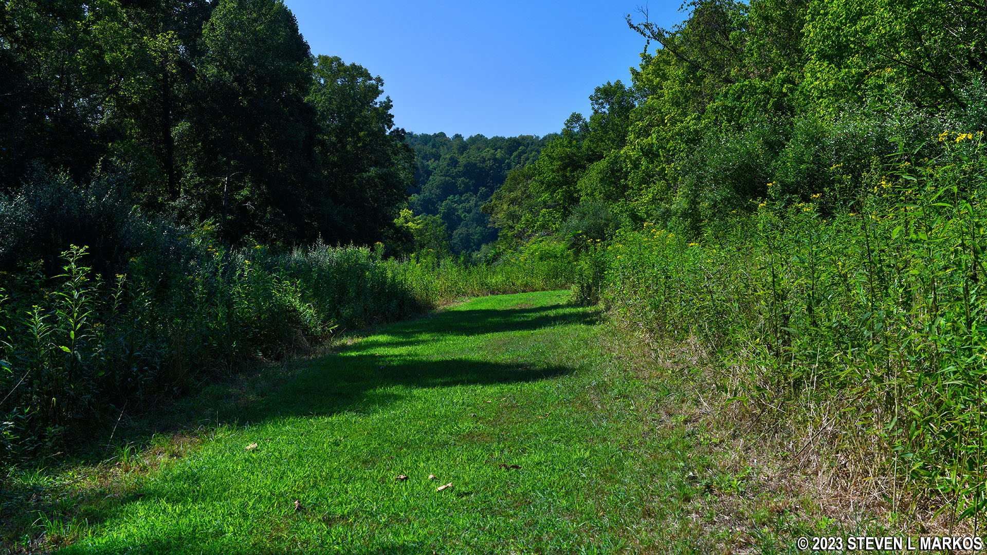Friendship Hill National Historic Site | NORTH MEADOW LOOP TRAIL