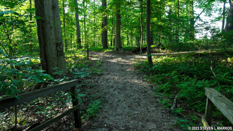 Friendship Hill National Historic Site | SOUTH MEADOW LOOP TRAIL