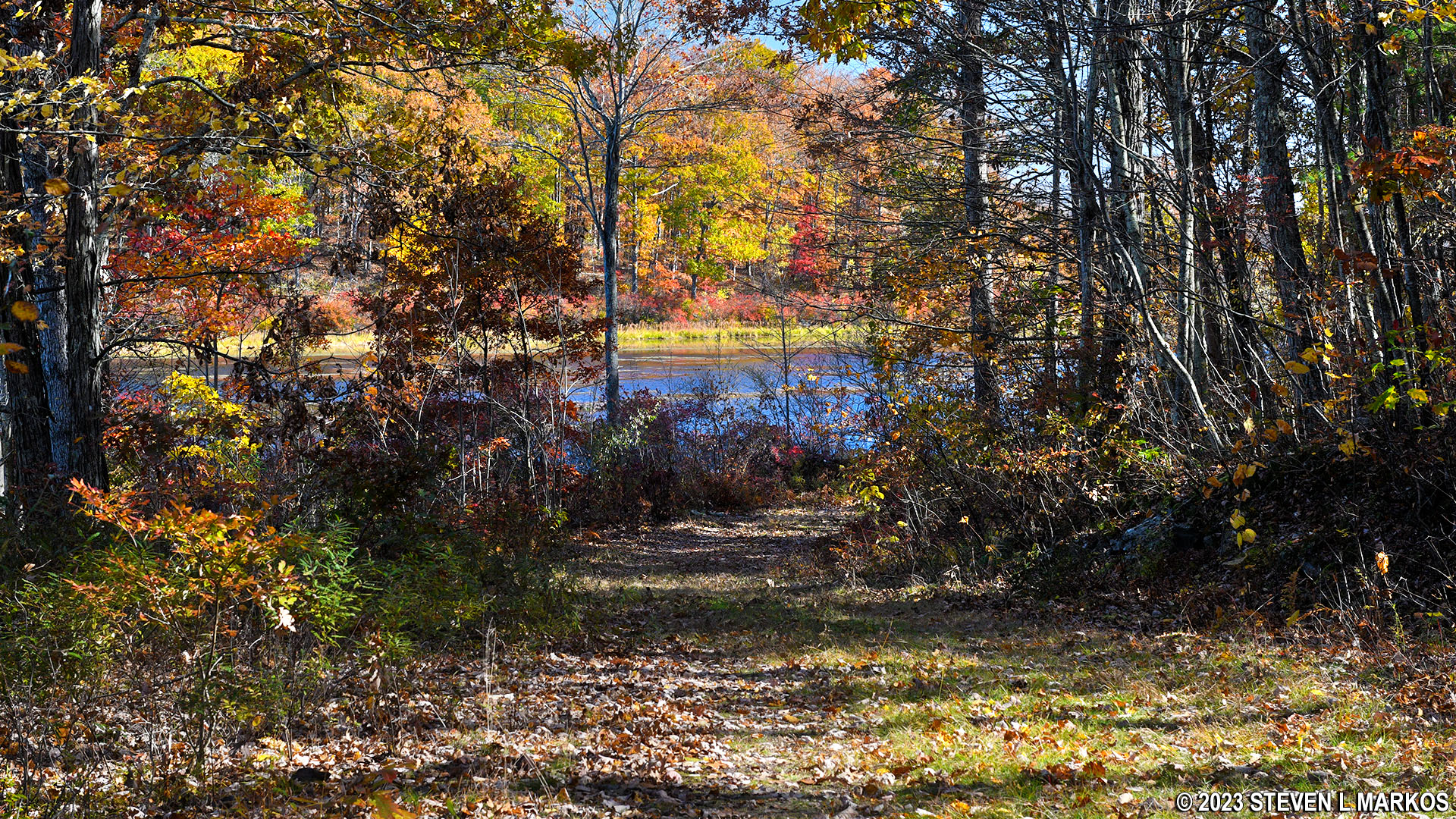 Upper Delaware Scenic and Recreational River | COBEY POND TRAIL
