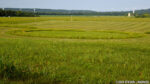 Hopewell Culture National Historical Park | PARK AT A GLANCE