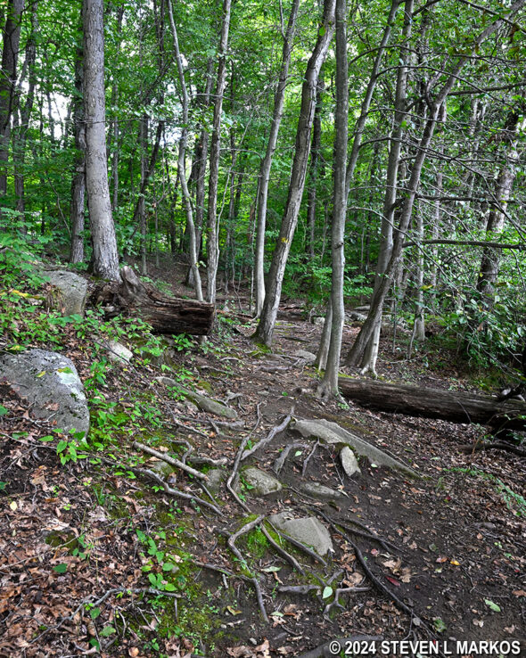 Weir Farm National Historical Park | WEIR POND TRAIL