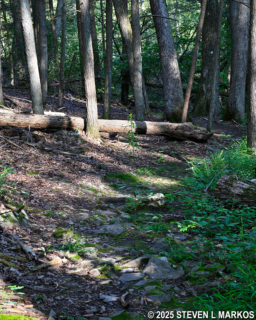 Eleanor Roosevelt National Historic Site | TOP COTTAGE TRAIL