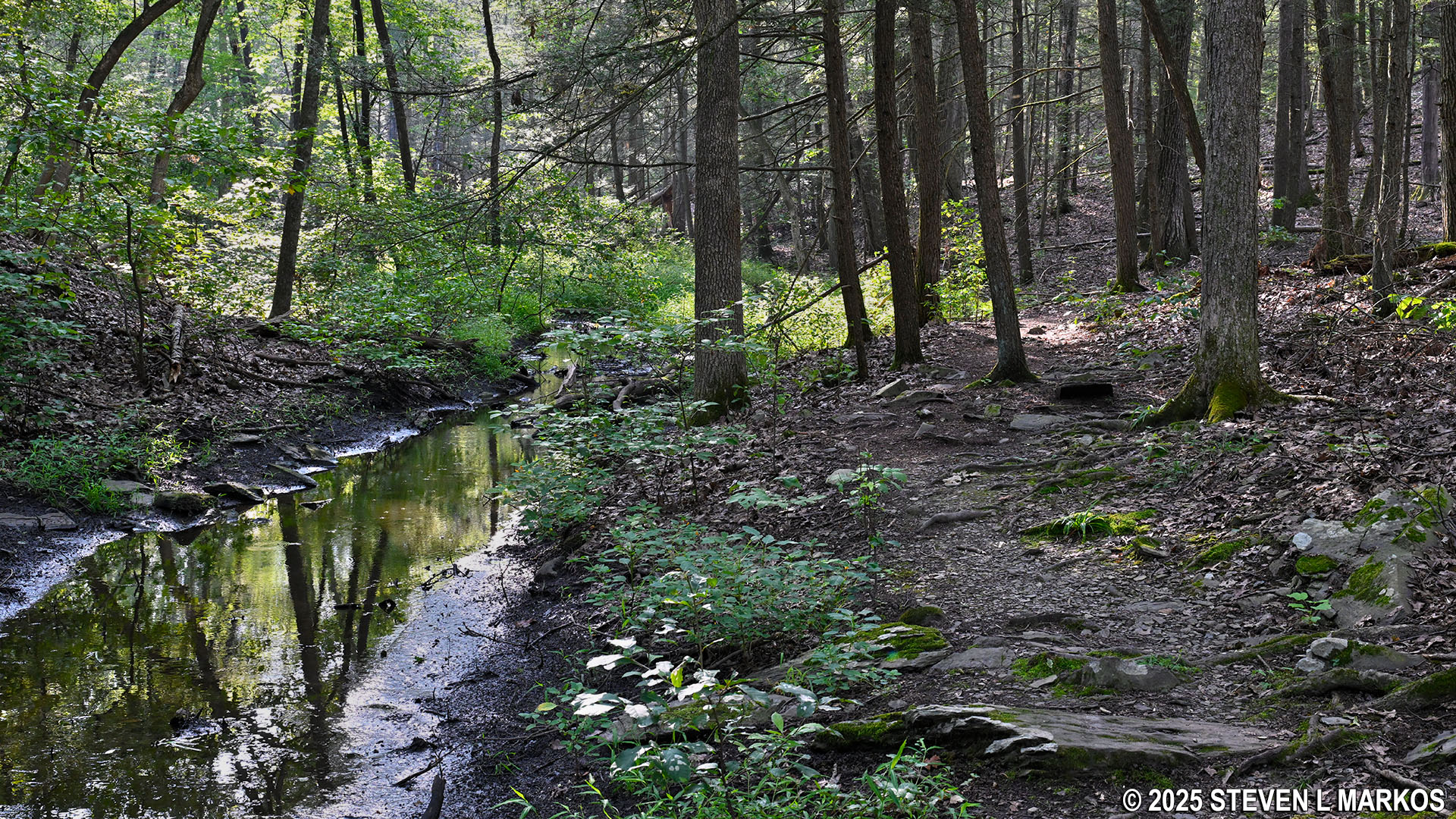 Eleanor Roosevelt National Historic Site | TOP COTTAGE TRAIL