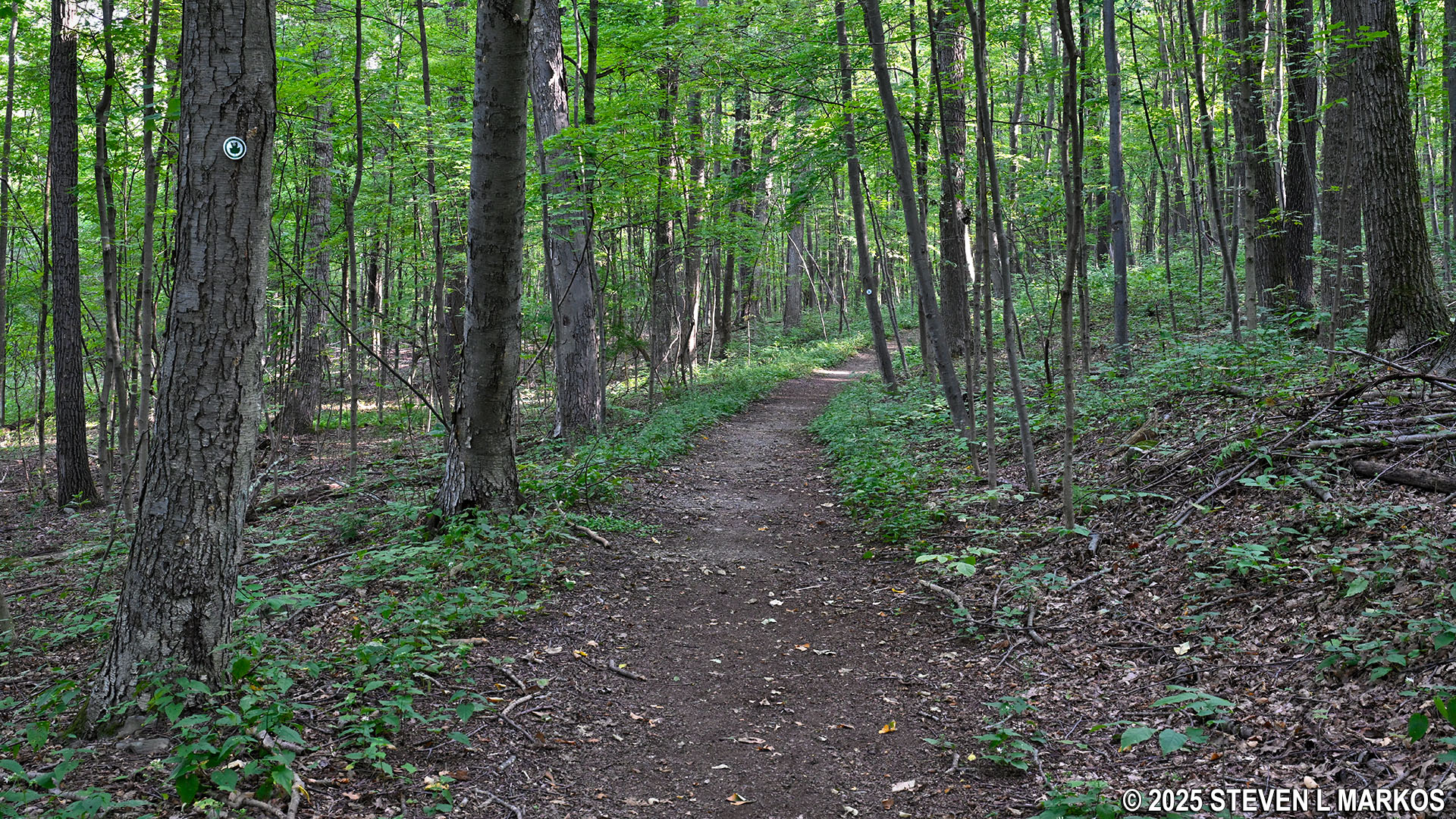 Eleanor Roosevelt National Historic Site | TOP COTTAGE TRAIL