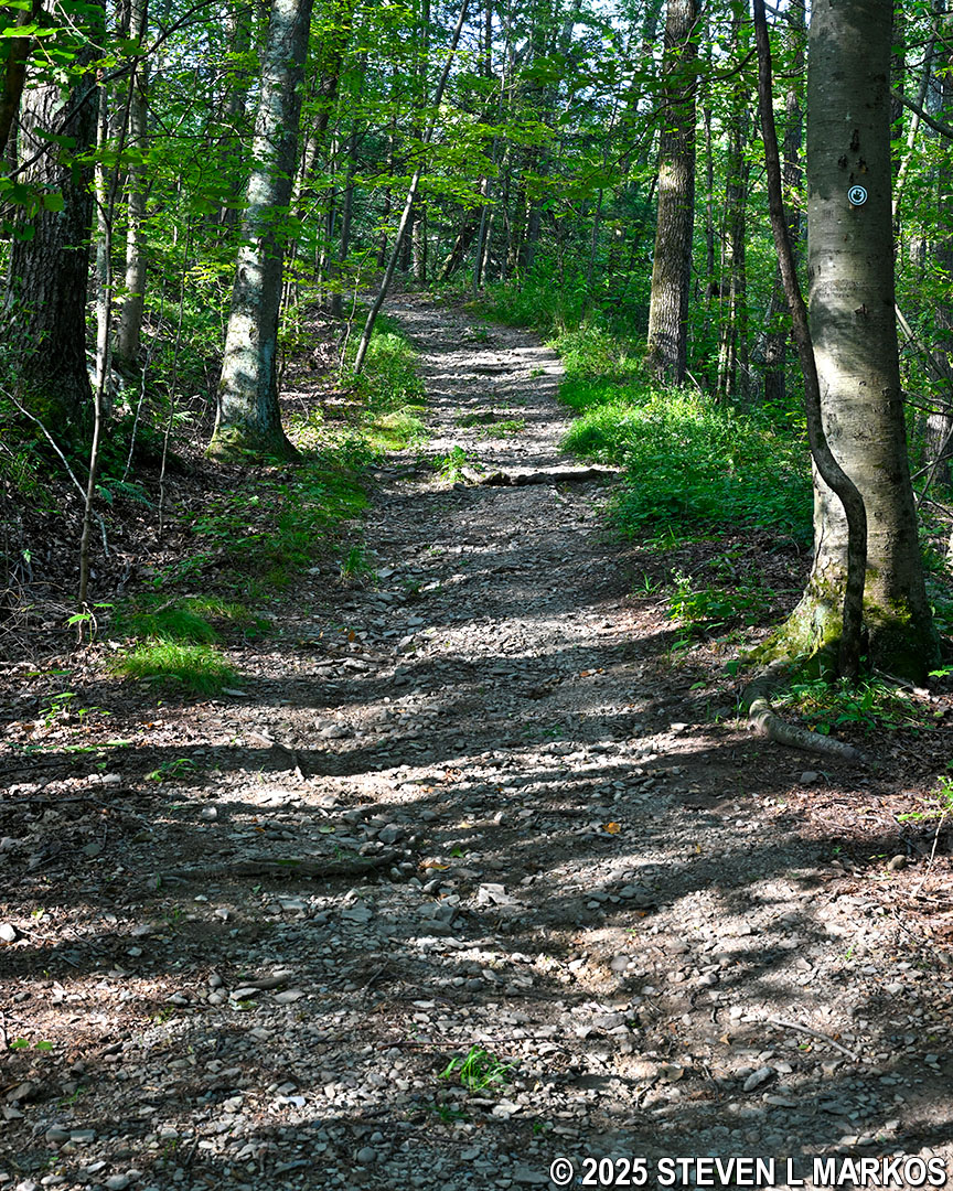 Eleanor Roosevelt National Historic Site | TOP COTTAGE TRAIL